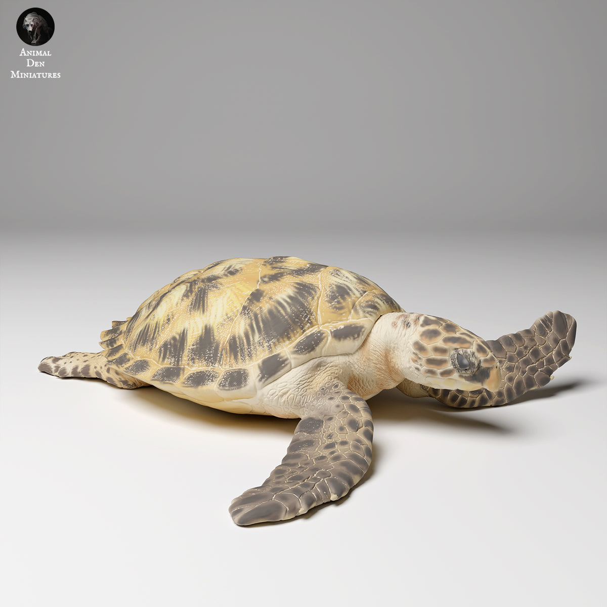 Anml-240504 hawksbill sea turtle(タイマイ) – サベージランドミニチュア