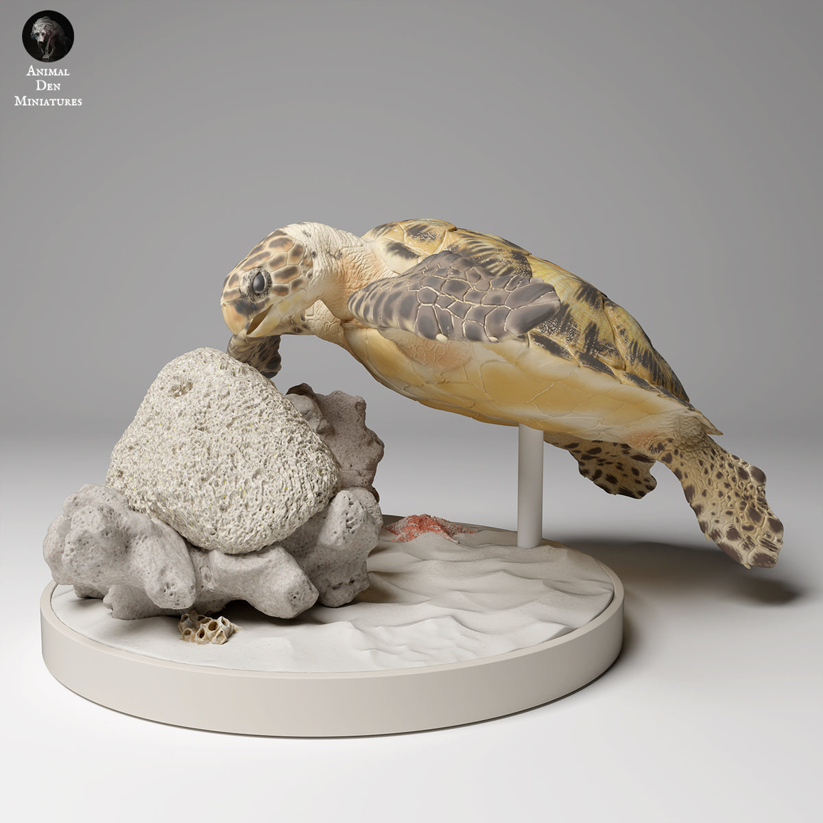 Anml-240505 hawksbill sea turtle feed – サベージランドミニチュア