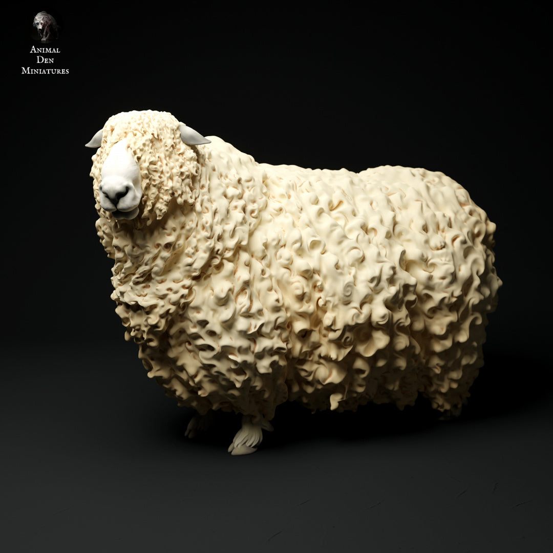 Anml-ks0122 Devon and Cornwall Longwool Ram 2 – サベージランドミニチュア