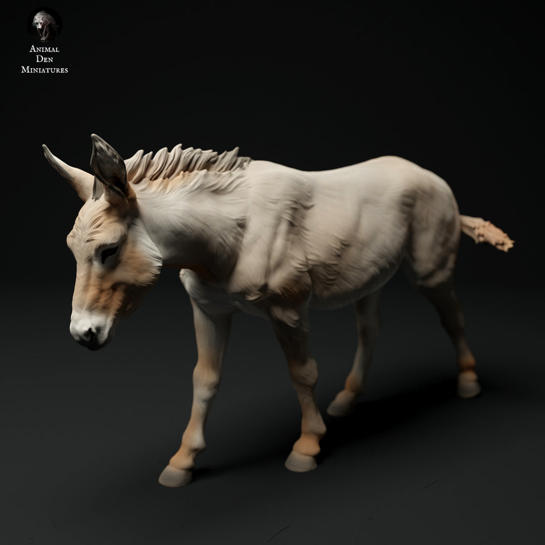 Anml-ks0118 Common Donkey – サベージランドミニチュア