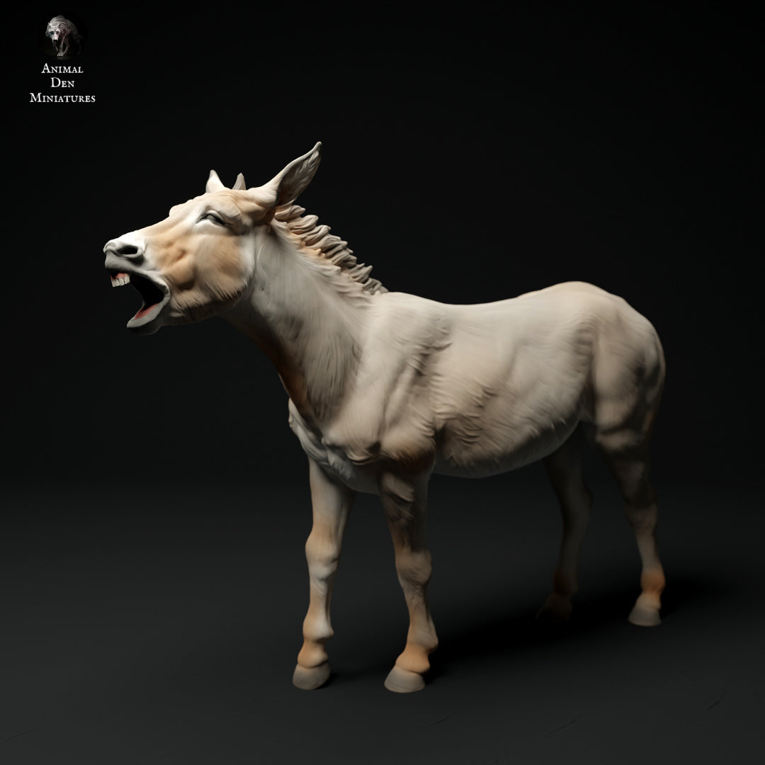 Anml-ks0119 Common Donkey Bray – サベージランドミニチュア