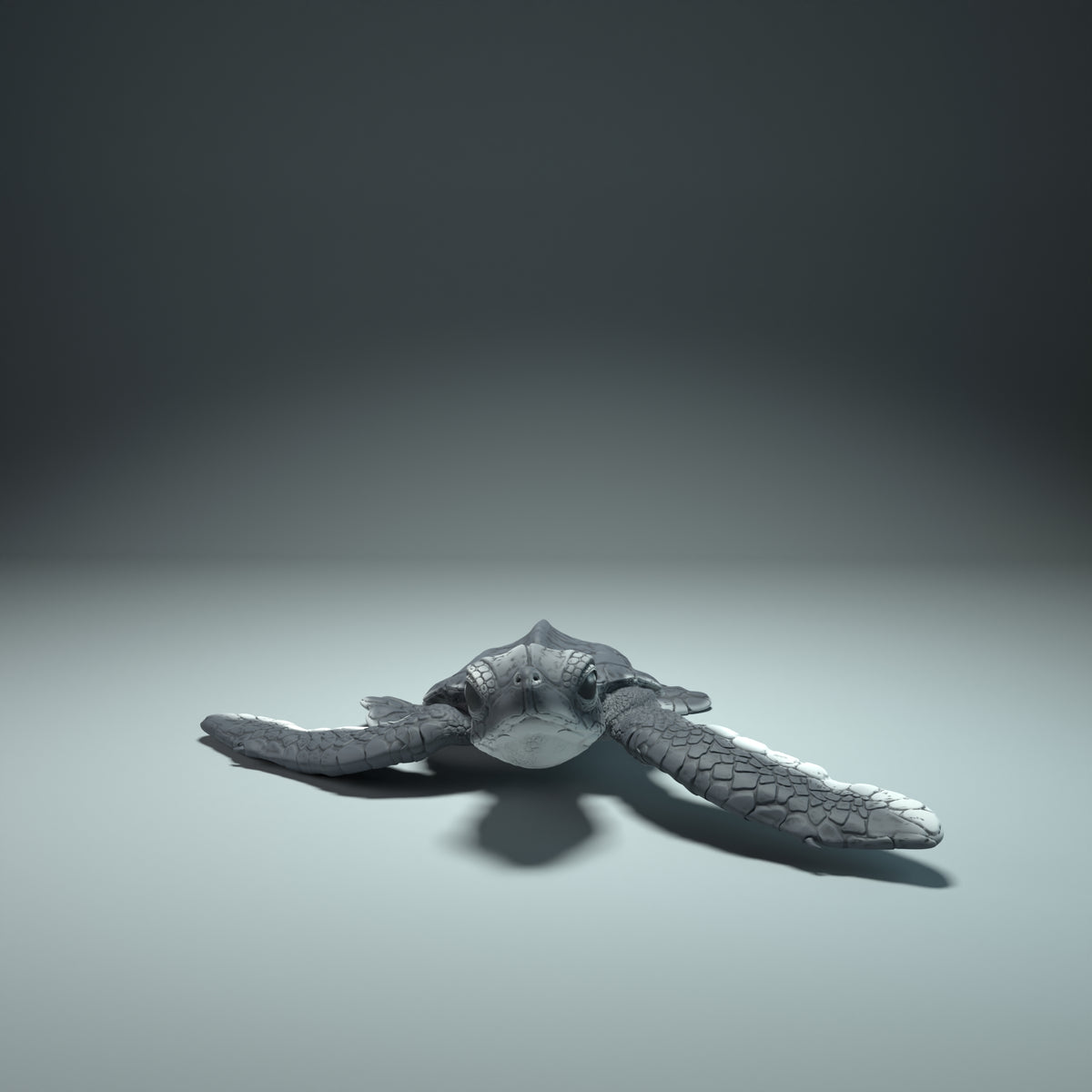 Anml-220911 Sea_Turtle_Hatchling – サベージランドミニチュア